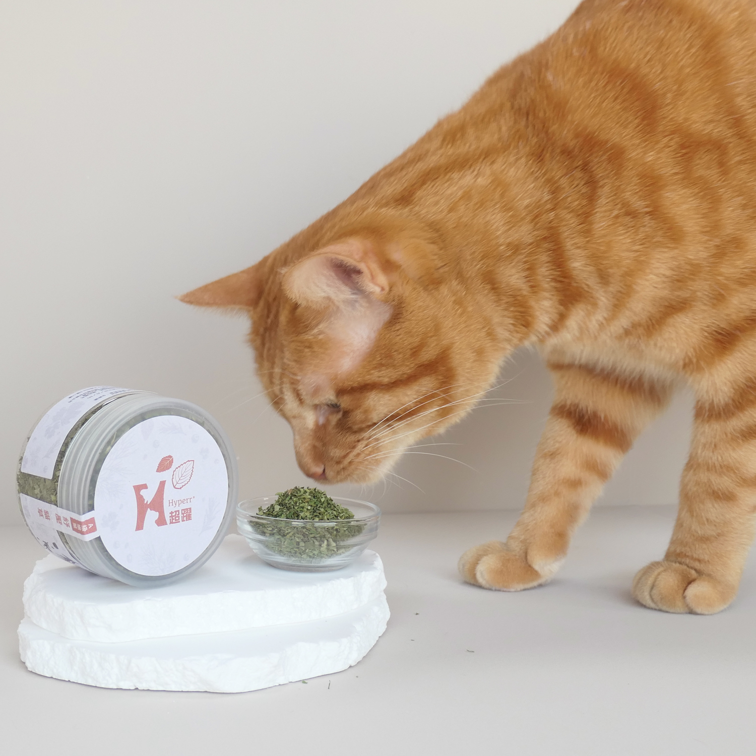 SofyDOG蘇菲狗 天然寵物食品領導品牌