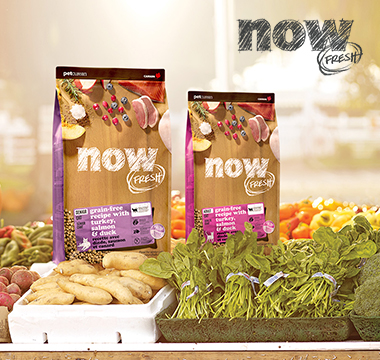 now 中型犬鮮肉無穀天然犬糧 - SofyDOG蘇菲狗