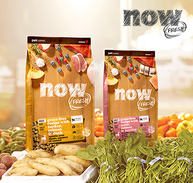 now 中型犬鮮肉無穀天然犬糧 - SofyDOG蘇菲狗